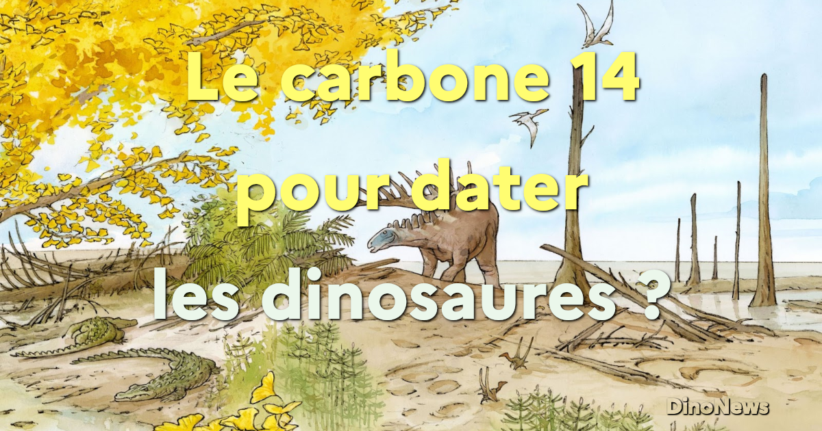 La datation au carbone 14 est-elle utile pour les fossi…