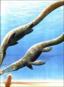 Mosasaurus — Paleowiki