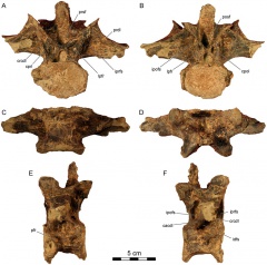 Dahalokely — Paleowiki