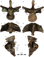 Dahalokely — Paleowiki