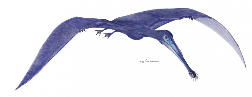 Gnathosaurus — Paleowiki