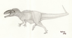 Giganotosaurus — Paleowiki